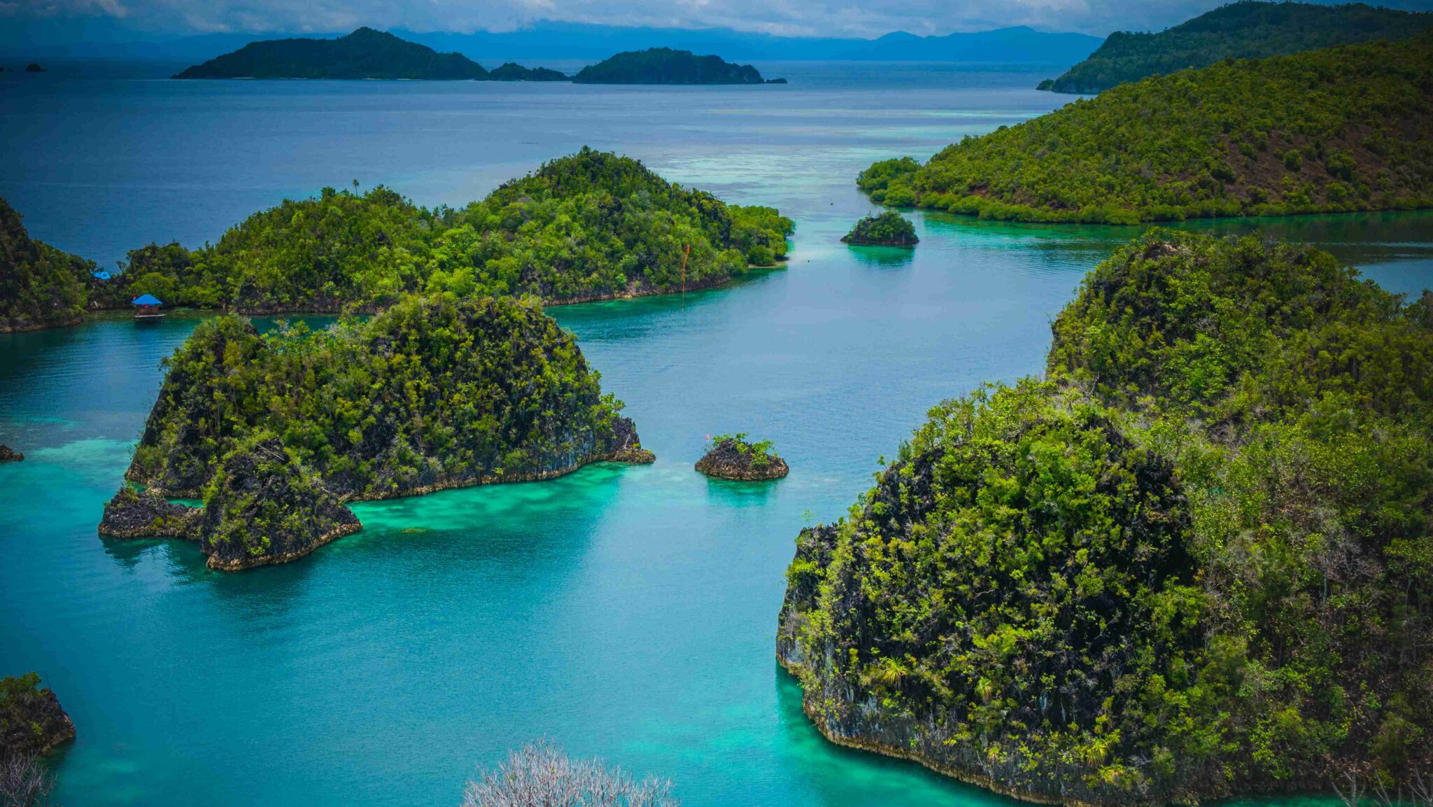 Raja Ampat Scuba Diving: Explore Indonesia’s Marine Wonderland